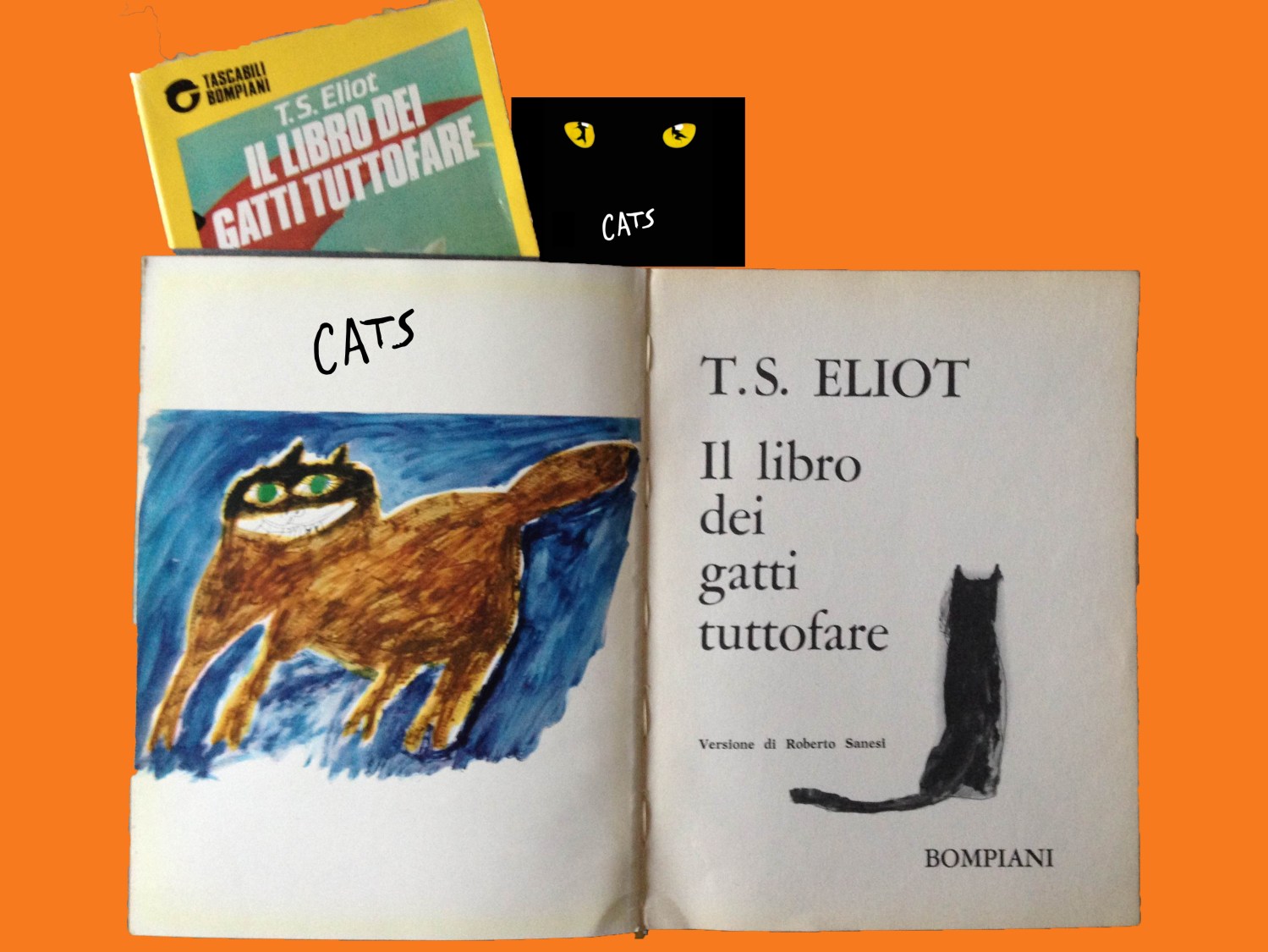 Cats, il musical. O di come un libro per bambini di poesie sui gatti ha ...